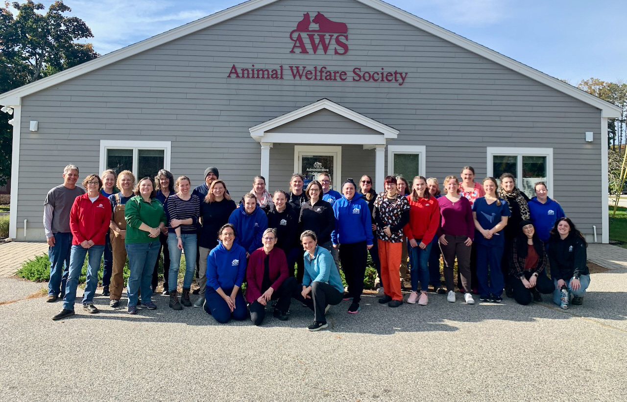 Animal Shelter Appreciation Week 2023 | Animal Welfare Society