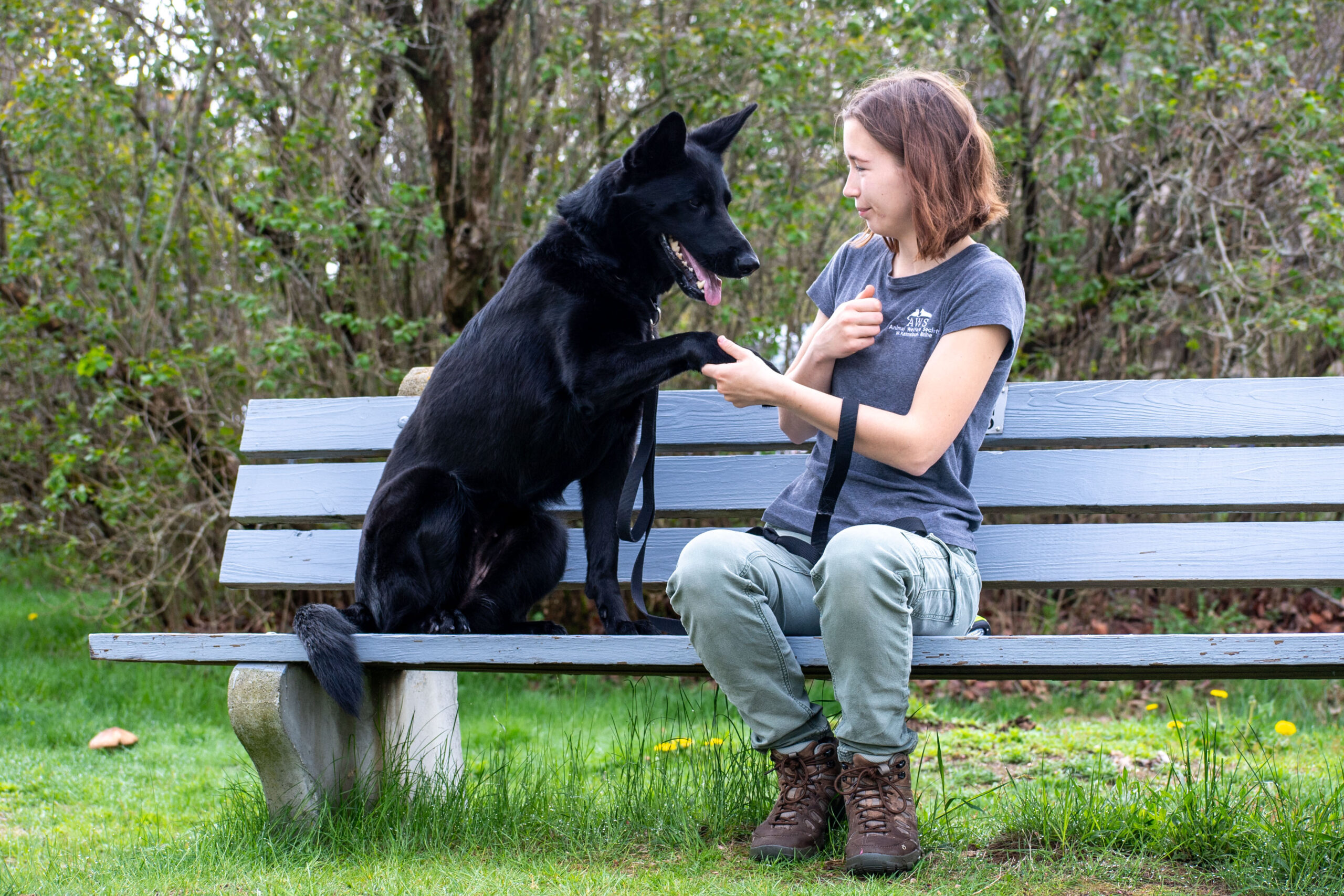 What's it like being an AWS ACT? | Animal Welfare Society